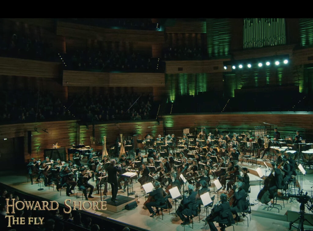 The Fly (from “The Fly”)